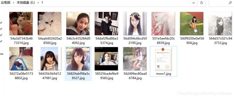 you get：无需代码爬取网站资源：视频、图片、音频等 python you get下载网页图片 csdn博客
