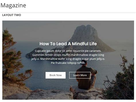 How To Create Layouts In Wordpress Wp Magazine Modules Plugin Review