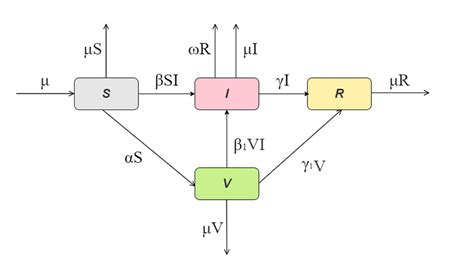1 Transfer Diagram Of The Svir Model Download Scientific Diagram