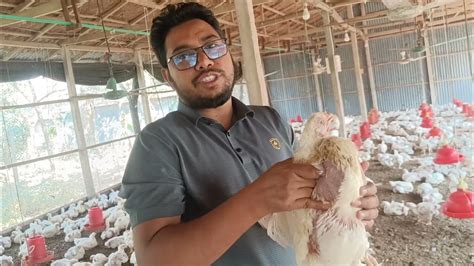 ব্রয়লার মুরগির ঠান্ডা রোগ হলে কি করনীয় কি Youtube