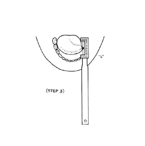 Talktools® Tongue Tip Lateralization And Elevation Tools Theraplay