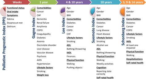 Selected Life Expectancy Estimation Tools Sorted By Prognostication