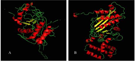 Predicted Models Of Hac1 Protein By A Esypred3d And B 3d Jigsaw