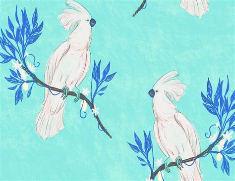 Cockatoo Pattern — My Widenius Art