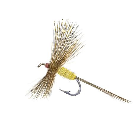 Nick Cobler On Linkedin Working On Learning The Nuances Of Ipad And Procreate Very Fun Stay…