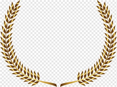 금 테두리 그림 월계관 골드 베이 월계수 보리 화환 비행 올리브 화환 Png Pngwing