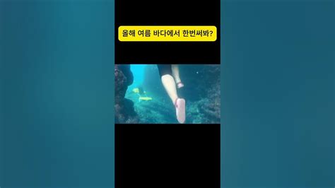 올해 여름 바다에서 한번 써봐 스노쿨링 여름바다 해루질 계곡 Youtube