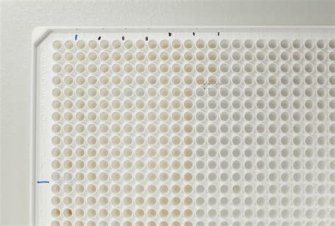 440개 이상의 Pcr Plate 스톡 사진 그림 및 Royalty Free 이미지 Istock