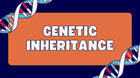 Linked Vs Unlinked Genes Youtube