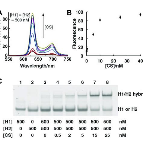 Analysis Of Sgq Cha Reactions A Fluorescence Spectra Of Sgq Cha Ppix