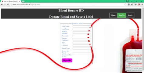 created a website with html css and php backend by asif shaafi truelancer