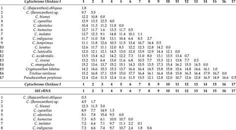 pairwise corrected genetic distances based on the kimura two parameter