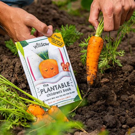 Grace Pointon Posted On Linkedin