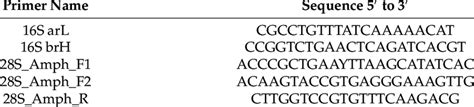 Sequences Of Primers Used For Dna Amplification Download Scientific