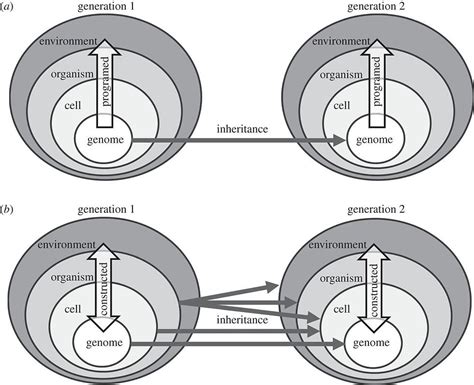 Monday Article 75 The Extended Evolutionary Synthesis A Modern