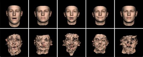 Some Samples Of The Prepared Shape Dataset Top Row Faces With Ground Download Scientific