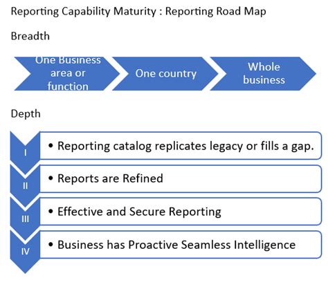 reporting capability maturity matrix reporting road map — cloud
