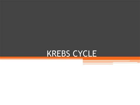 Ppt Krebs Cycle Powerpoint Presentation Free Download Id 2064185