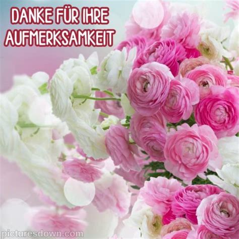 Danke Für Eure Aufmerksamkeit Bild Rosen