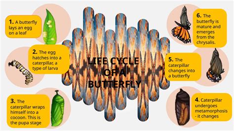 animation and transition in powerpoint to make your slide interesting