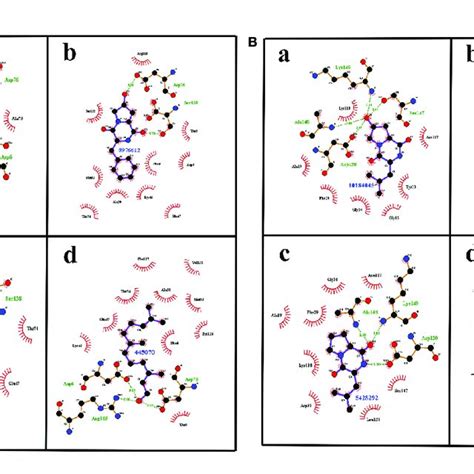 A The Two Dimensional Interaction Image Showcasing The Binding Download Scientific Diagram