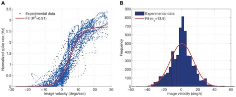 A Experimental Measurement Showing The Inputoutput Relationship For