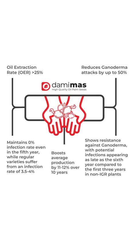 Ganoderma 101 The Palm Oil Enemy You Need To Know Golden Agri Resources