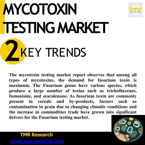 Ppt Mycotoxin Testing Current And Future Trends Powerpoint Presentation Id 11627424