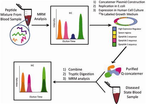 Chapter 5 Modern Techniques In Quantitative Proteomics Bioanalysis Zone