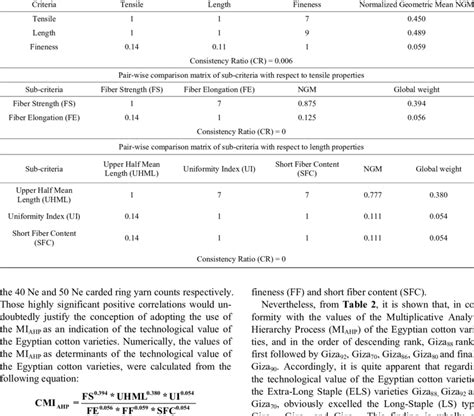 Pair Wise Comparison Matrices Of Criteria And Sub Criteria Pair Wise Download Table