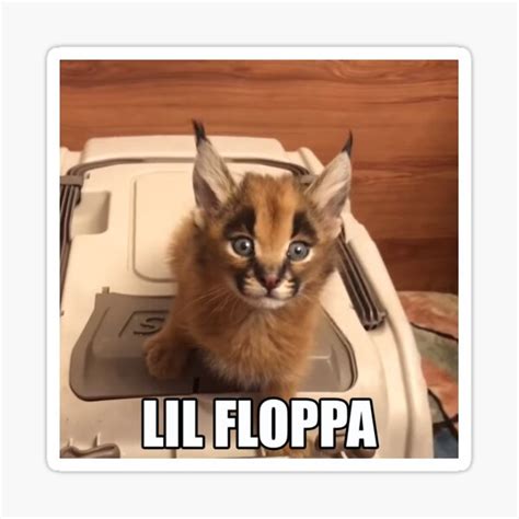 Lil Floppa Sticker For Sale By Jaggedfangs Redbubble