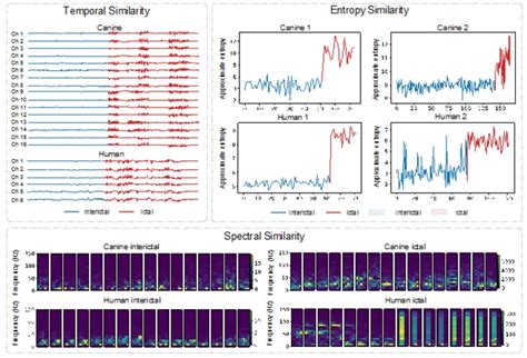 Figure 1 Evidence For Cross S [image] Eurekalert Science News Releases