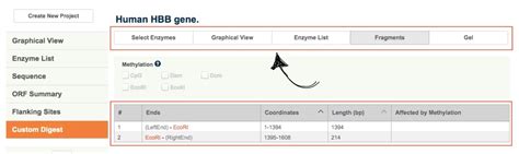 How To Choose A Restriction Enzyme Step By Step Demonstration Genetic Education