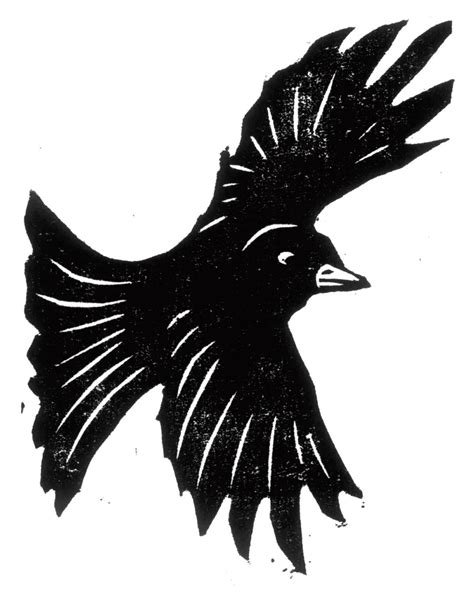 演出官宣 生祥乐队「种树与野生」2025巡演 上海站 有演出网