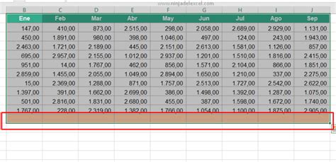 Cómo Sumar Columnas en Excel Ninja del Excel