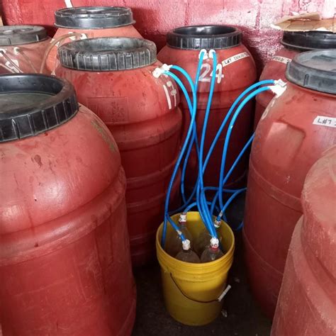 Whats Behind Coffee Processing Roast Rebels