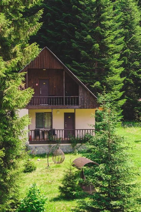 შოვი ტრაგედიამდე 💔🙏 ჩემი სამყარო ხარ