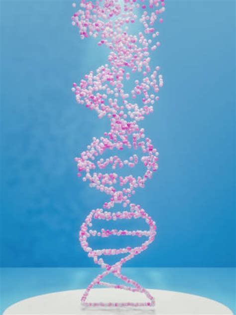 Want To Opt For A Telomere Test Few Facts To Know Before That Times