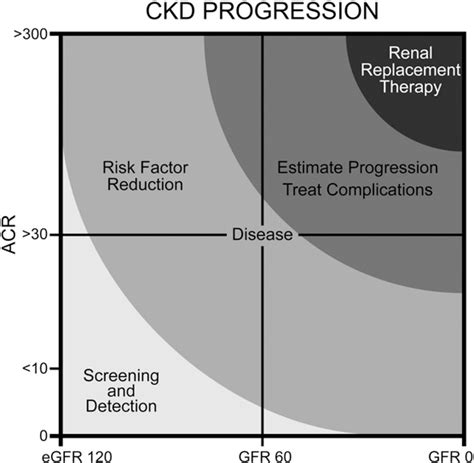 Figure 1 From Advances In Ckd Detection And Determination Of Prognosis Executive Summary Of The