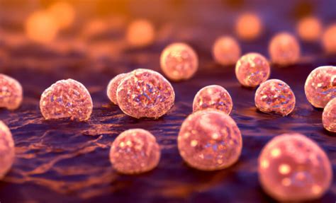 Pathogen What Is Types Transmission And Conditions