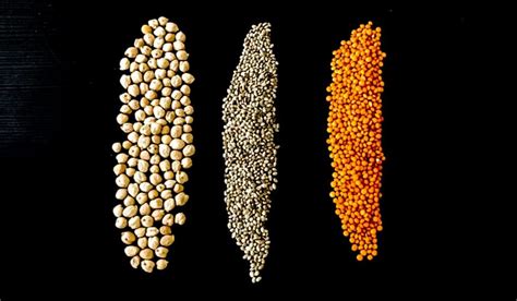 One Week Portion Control Diet Meal Plan Pdf