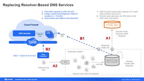 how to configure dns control policies for tunnel less dns setup guest