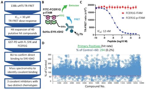 Compound Screening Cascade And The Development And Use Of A Biochemical