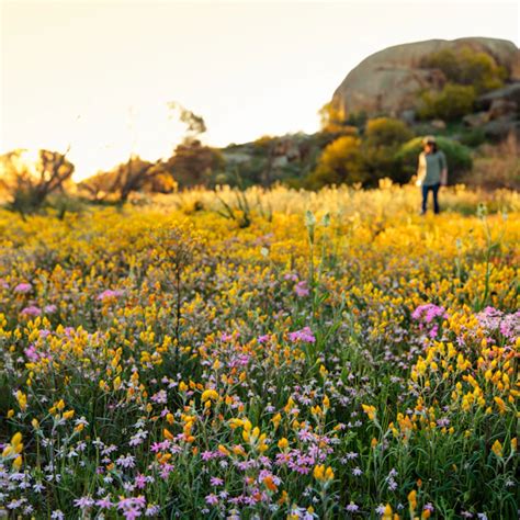 Perenjori Australias Golden Outback