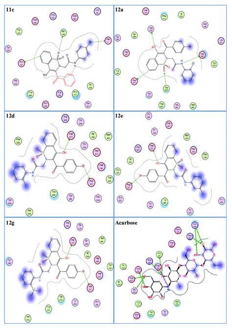 Two Dimensional Interaction Modes Of The Most Active Compounds 11c