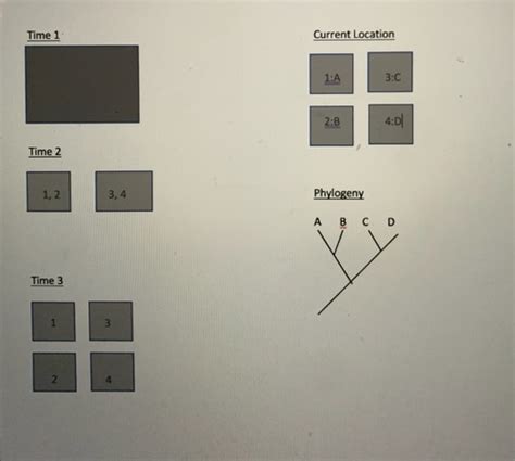 Test Questions Eco Evo 1 3 Flashcards Quizlet