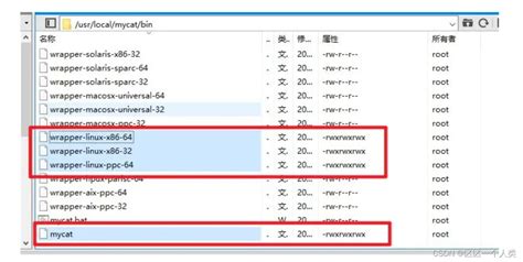 尚硅谷mycat20安装和配置mycat20配置 Csdn博客