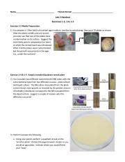 Lab Handout Pdf Name TA Lab Period Lab Handout Exercises Exercise Media