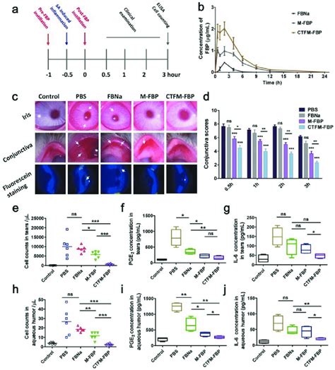 In Vivo Anti Inflammation Efficiency Of Flurbiprofen Fbp Formulations Download Scientific