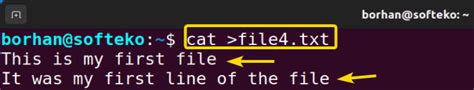 The Cat Command In Linux Practical Examples